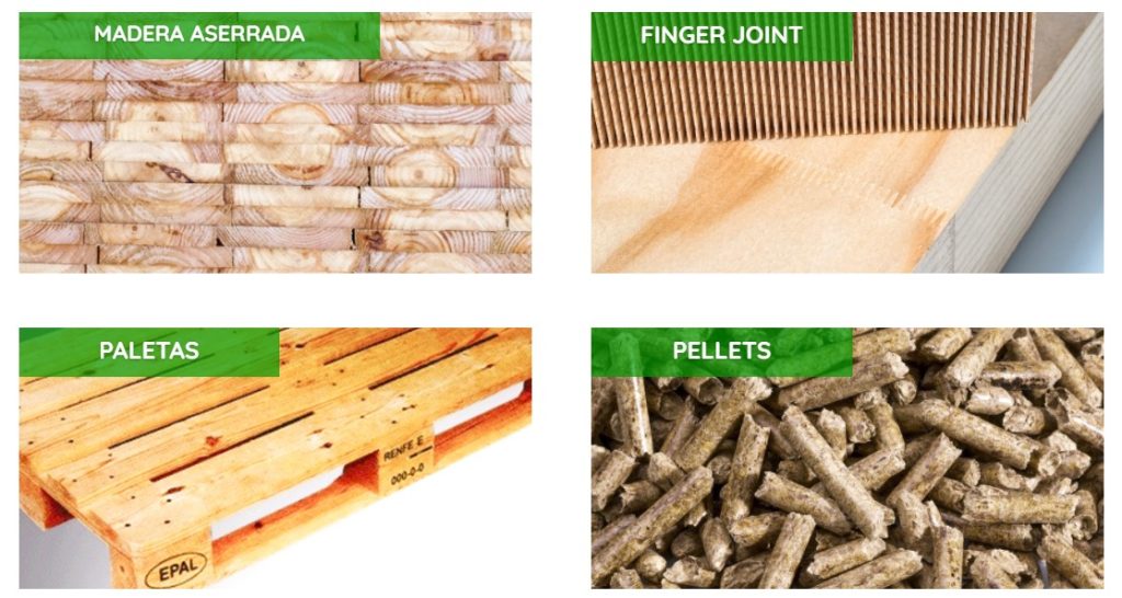 Ebaki XXI - onekin.eus